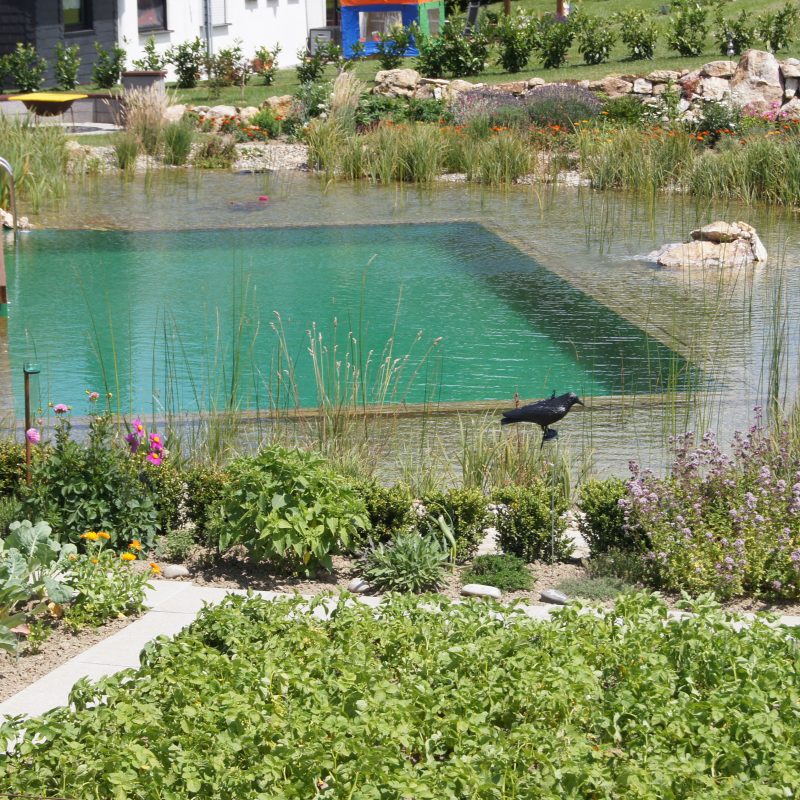 Schwimmteiche und Zierteiche | AquaNatur GmbH