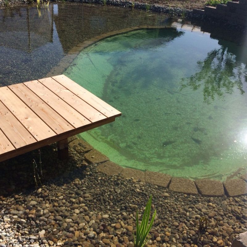 Schwimmteiche und Zierteiche | AquaNatur GmbH